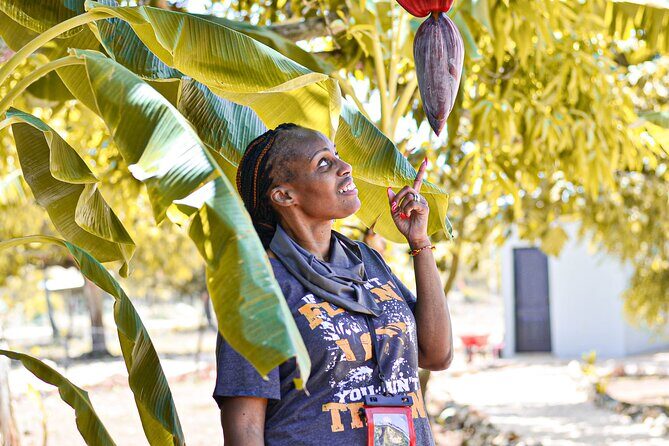 Private Tour in Buggy Punta Cana : Caves, Beaches and Organic Estate - An In-Depth Look at the Buggy Tour Experience