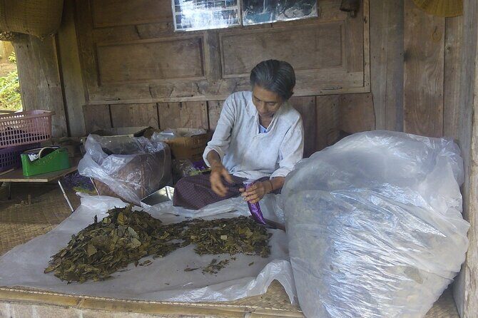 Private Tour in Chiang Mai Village Experience Nature - Who Will Love This Tour?