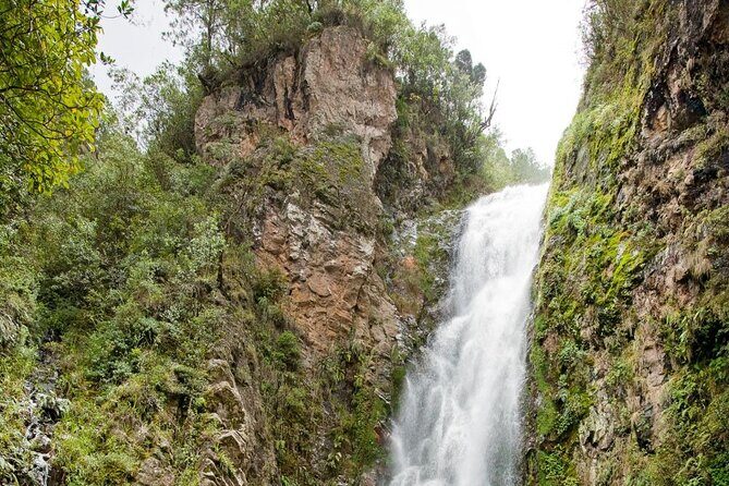 Private Tour in Constanza Dominican Republic for 15 people - Pricing and Value Analysis