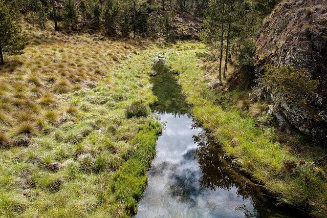 Private Tour in Constanza Dominican Republic for 15 people - Authenticity and Unique Experiences