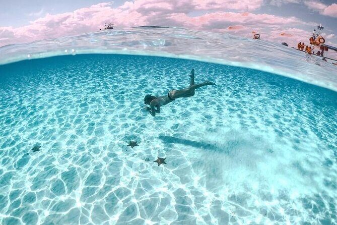 Private Tour in Cozumel El Cielo Sandbar and Reef Snorkeling - Analyzing the Tour Itinerary