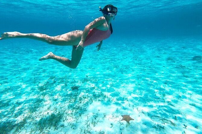 Private Tour in Cozumel El Cielo Sandbar and Reef Snorkeling - FAQ