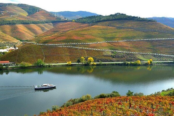 Private Tour in Douro - Who Will Love This Tour?