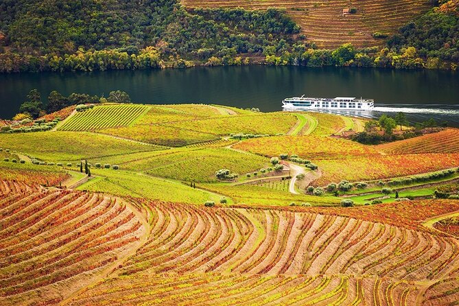 Private Tour in Douro - Final Thoughts