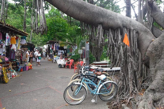 Private Tour in El Malecon Boardwalk Bike Ride - Authentic Experiences and Highlights