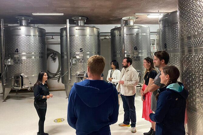 Private Tour in Guadalupe Valley, Vine Yards & Wine Route ENS MX - An In-Depth Look at the Guadalupe Valley Private Wine Tour