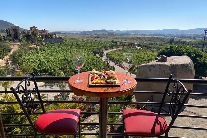Private Tour in Guadalupe Valley, Vine Yards & Wine Route ENS MX - Final Thoughts