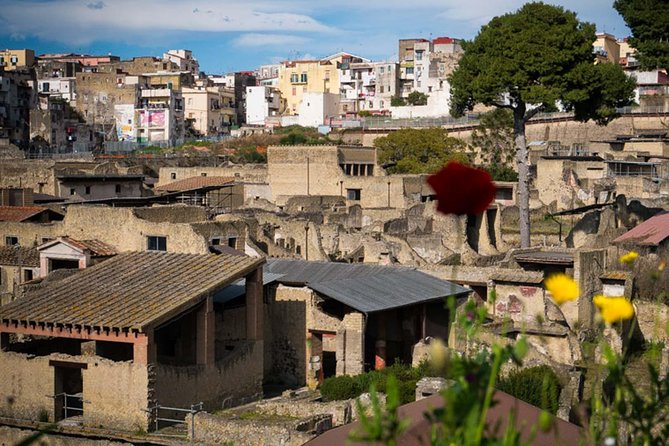 Private Tour in Herculaneum for Families from Naples - The Price and Its Value