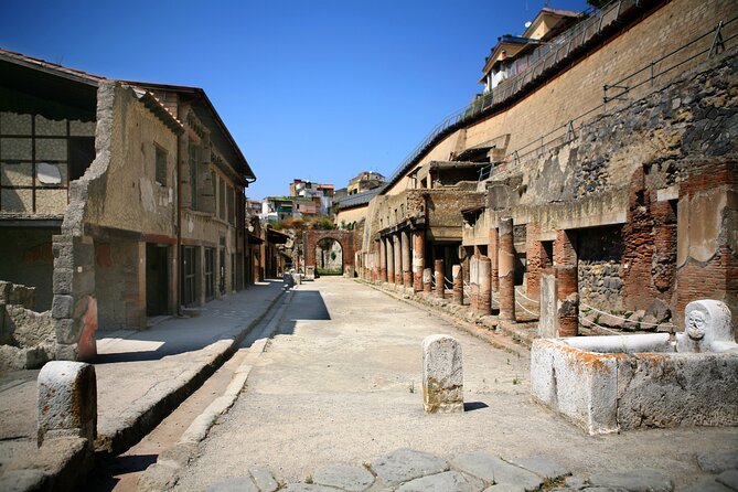 Private Tour in Herculaneum for Families from Naples - FAQ
