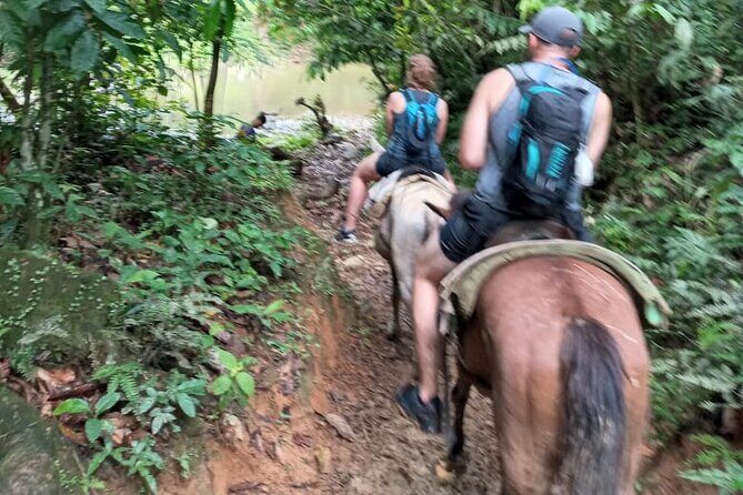 Private Tour in Miches with La Jarda Waterfall Experience - An In-Depth Look at the Tour