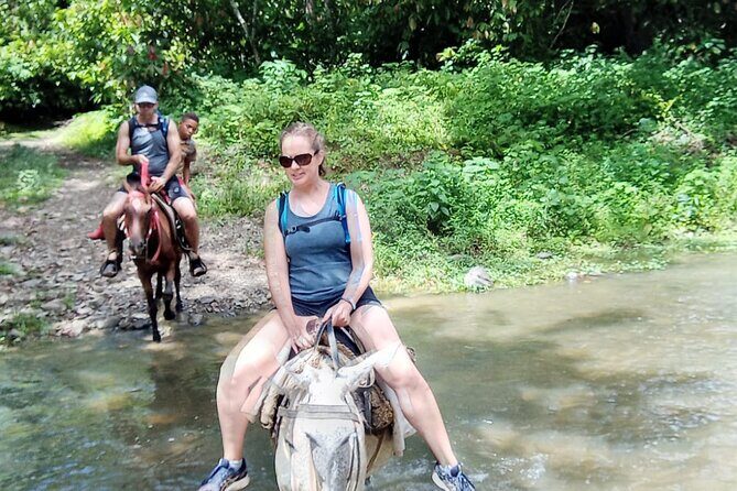 Private Tour in Miches with La Jarda Waterfall Experience - Is This Tour Right for You?