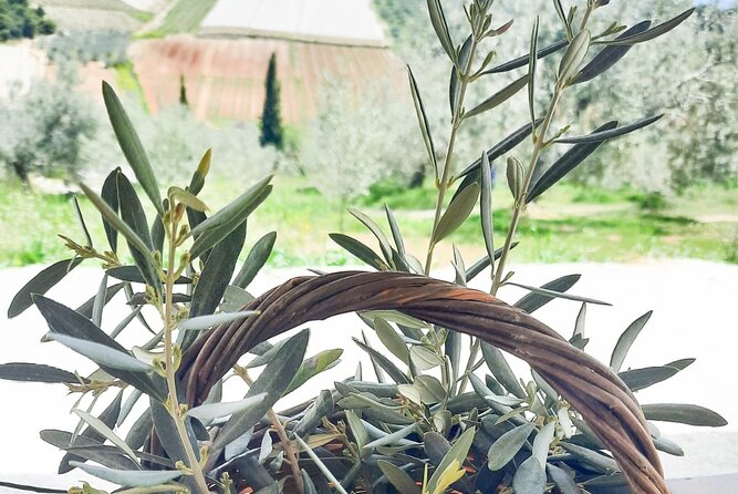 Private tour in Nafplio with Olive oil Tasting Tour in Corinth - Analyzing the Cost and Value