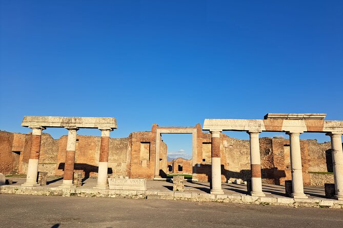 Private Tour in Pompeii and Vesuvius - Savoring Local Flavors: The Vineyard and Lunch Experience