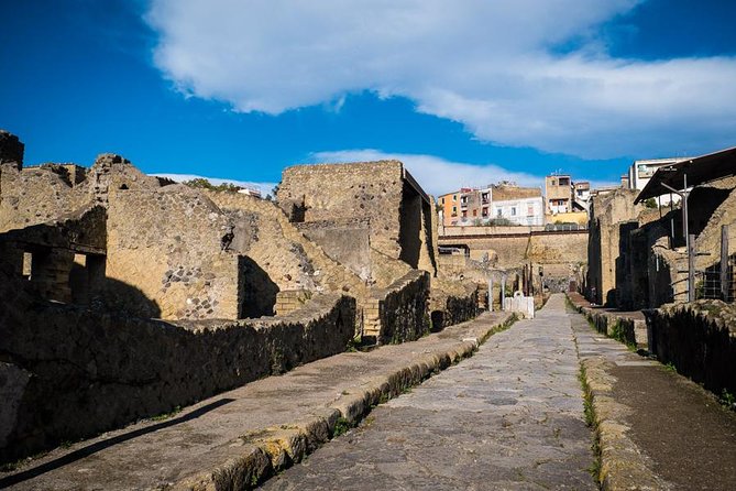 Private Tour in Pompeii at Your Pace - Highlights of the Private Pompeii Tour