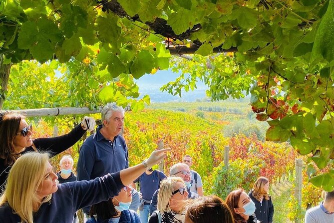 Private Tour in Pompeii Ruins and Pompeii City Center Winery - The Sum Up: Why Choose This Tour?