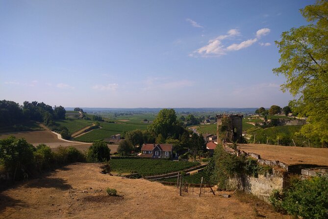 Private tour in Saint-Emilion, médiéval village and wine tasting - Practical Details and Considerations