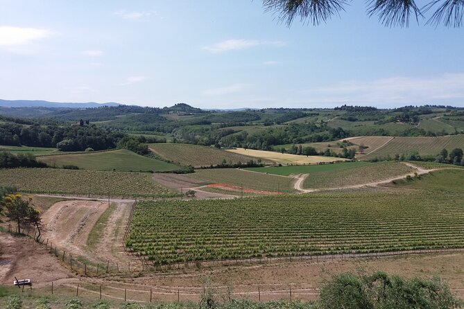Private Tour in San Gimignano and Chianti Day Trip From Florence - Inclusions and Exclusions of the Tour