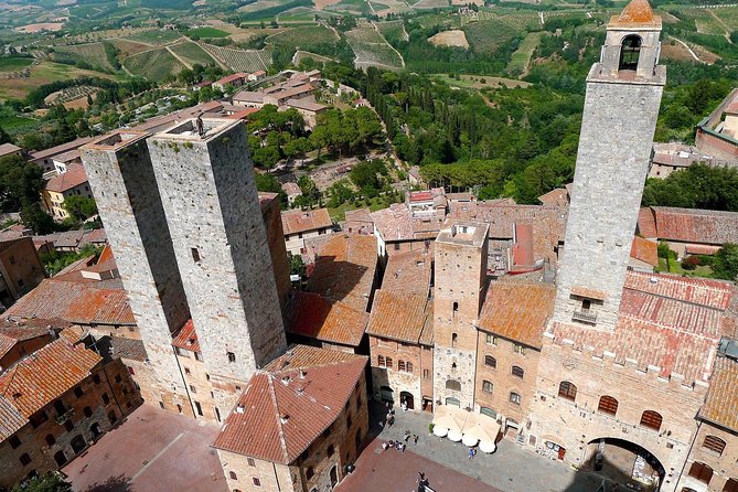 Private Tour in San Gimignano - Accessibility Features
