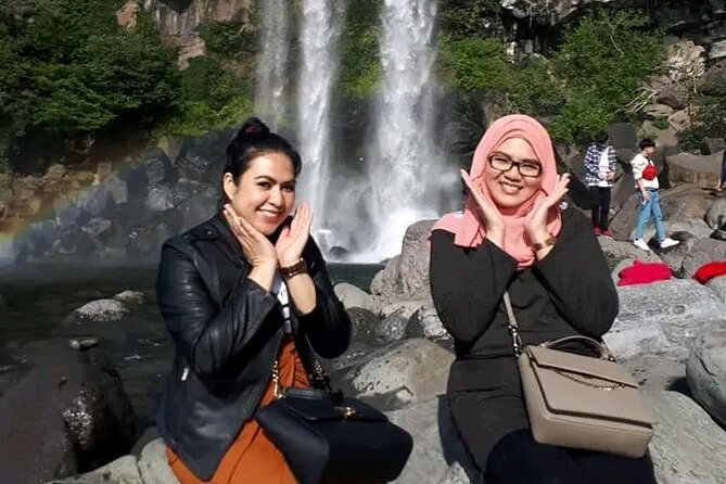 Private Tour in South and East in jeju island - Exploring Jeju’s Natural Wonders: A Complete Review of the Private South & East Tour