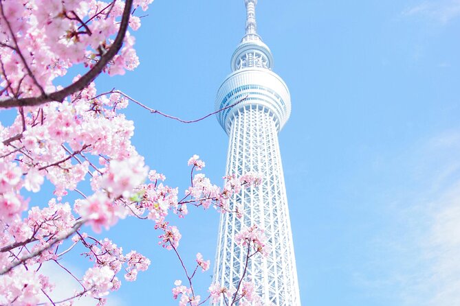 Private Tour in Tokyo With English Speaking Driver - Key Points