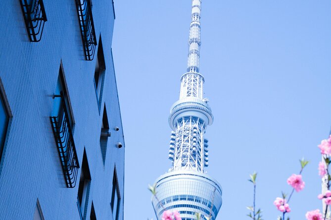 Private Tour in Tokyo With English Speaking Driver - Inclusions