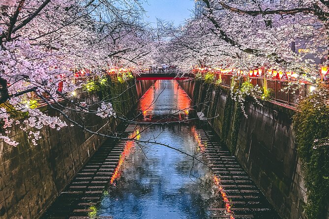 Private Tour in Tokyo With Local Guide - Personalization and Customization