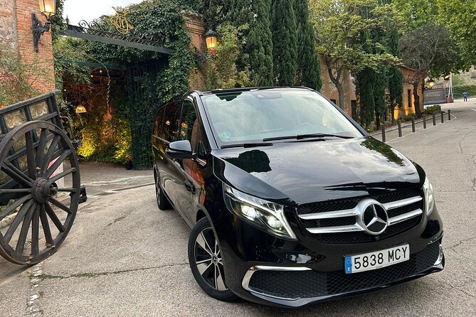 Private Tour in Toledo 5 Hours With Private Guide and Driver - Customer Feedback and Reviews