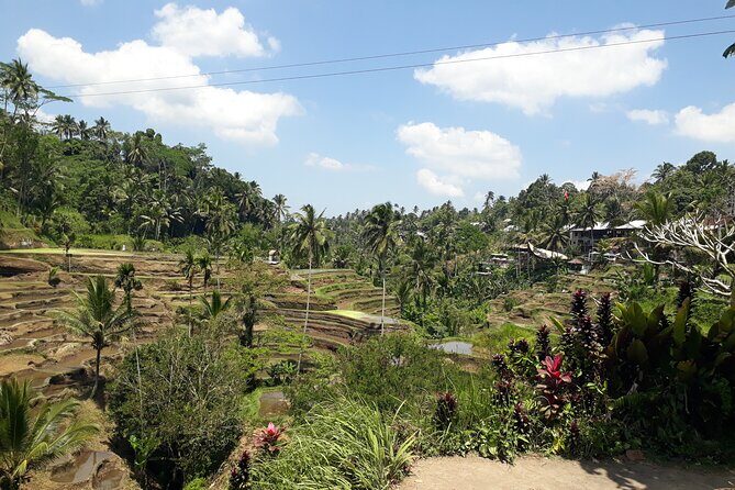 Private tour in Ubud country side - A Deep Dive into the Ubud Countryside Tour