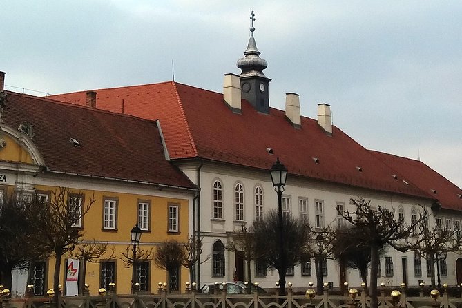 Private tour in Vác by local guide - Magical vibe of an charming baroque town - What to Expect and Why It Matters