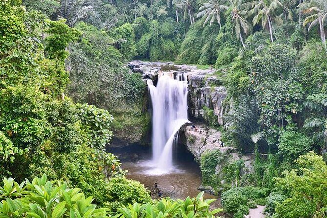 Private Tour: Incredible 6 Days Bali Tour Package with Airport Transfer - Seamless Arrival and First Impressions