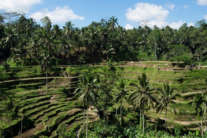 Private Tour: Incredible 6 Days Bali Tour Package with Airport Transfer - Day 4: Temples and Terraces of Central Bali