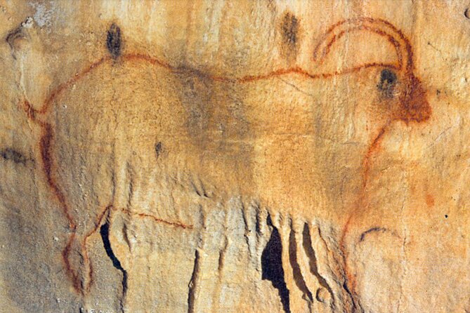 Private Tour into an Original Prehistoric Cave by EXPLOREO SARLAT - Detailed Breakdown of the Itinerary