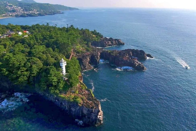 Private Tour : Izu Peninsula Day Trip with Cable Car Ride - Relaxing at Ito Marin Town: Seaside Leisure and Flavors