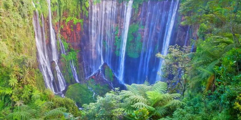 Private Tour : Jakarta - Bali 13 Day 12 Night with Hotel - Discover Indonesia’s Cultural and Natural Wonders on a 13-Day Tour from Jakarta to Bali