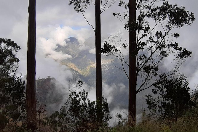 Private Tour Jardim da Serra Halfday - Key Points