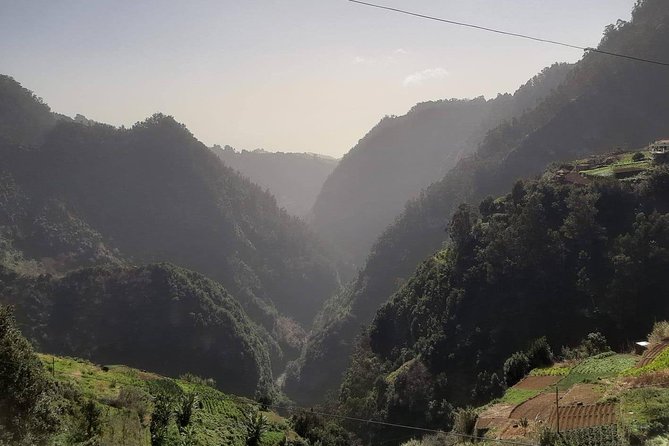 Private Tour Jardim da Serra Halfday - Cultural Flavor at the Madeira Press Museum
