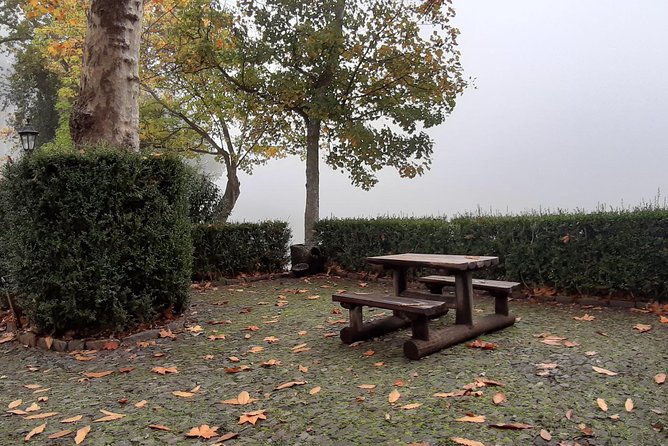 Private Tour Jardim da Serra Halfday - Transportation and the Private Experience