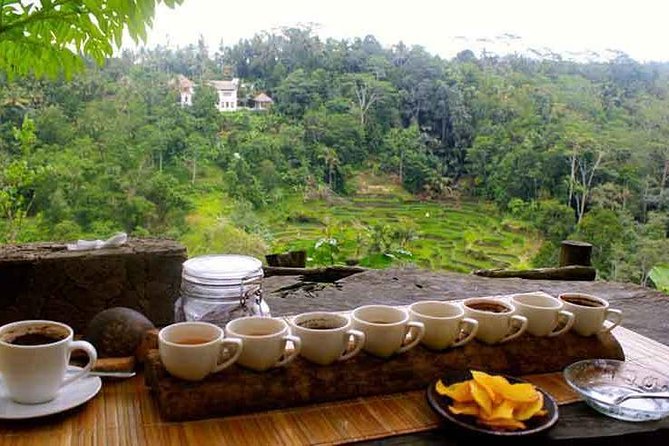 Private Tour: Jatiluwih Rice Terrace,Ulun danu and Banyu Mala Waterfall Tour - Authentic Experiences and Customer Insights