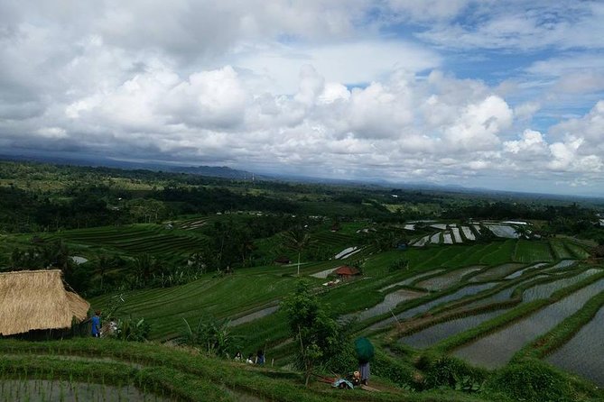 Private Tour: Jatiluwih Rice Terrace,Ulun danu and Banyu Mala Waterfall Tour - FAQ