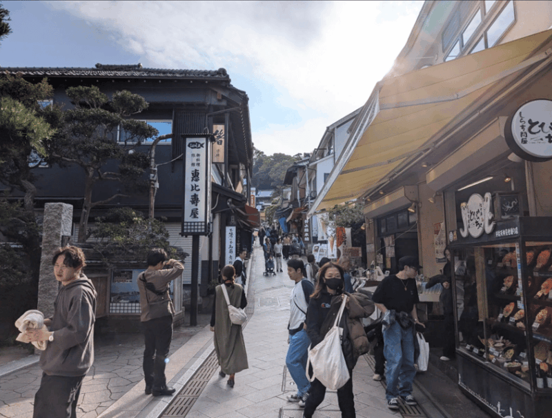 Private Tour Kamakura and Enoshima W/ Spanish Speaking Guide - Transportation Details