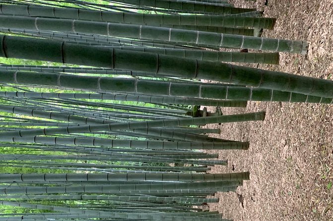 Private Tour Kamakura and Enoshima With Guide and Photographer - Tour Inclusions