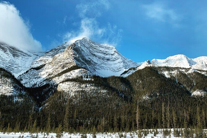 PRIVATE TOUR: Kananaskis Safari Drive and Guided Nature Walk 4H - The Guided Nature Walk: Feeling the Landscape