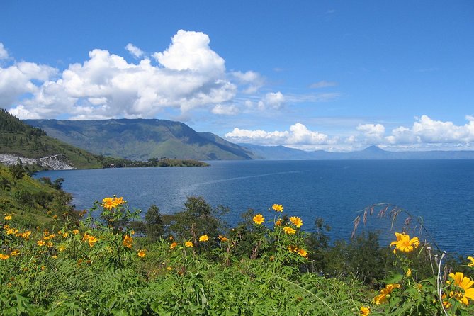 Private Tour: Karo Highlands and Lake Toba from Medan - Who Should Consider This Tour?