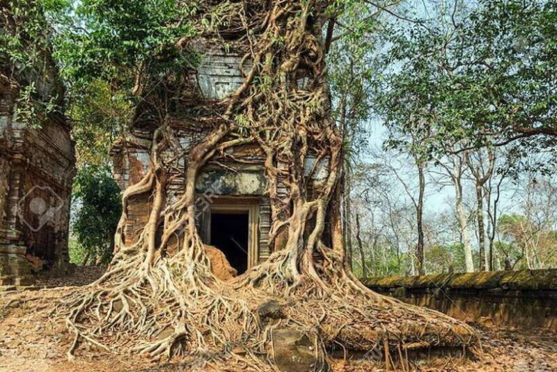 Private Tour Koh Ker & Beng Meala Temples - Final Thoughts