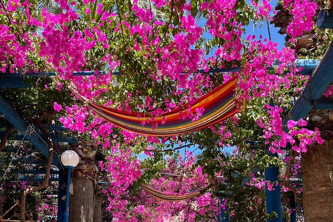 PRIVATE TOUR-Kourtaliotiko Gorge-Rethimno-Preveli Beach - Key Points