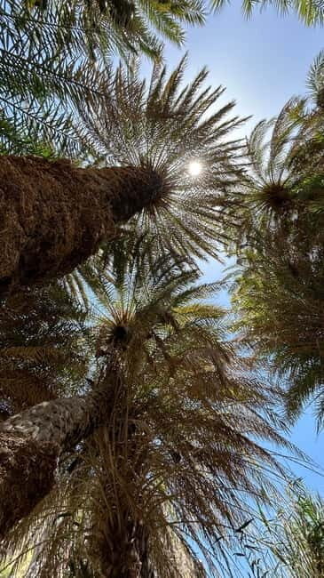 Private Tour Kourtaliotiko Gorge+Preveli Beach /Chania - What’s Not Included