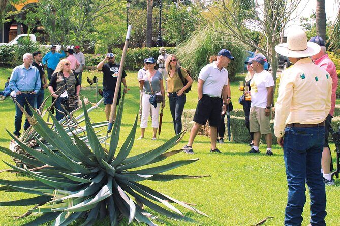 Private Tour La Fortaleza Distillery and visit to Tequila - Wrapping It Up