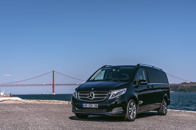 Private Tour Lisbon - Traveler Reviews and Satisfaction