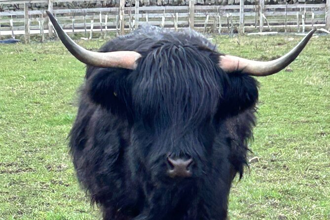 Private Tour Loch Lomond Stirling and the Kelpies From Glasgow - Booking and Cancellation Policy