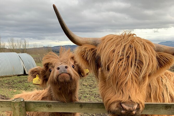 Private Tour Loch Lomond Stirling and the Kelpies From Glasgow - Discovering Doune Castle